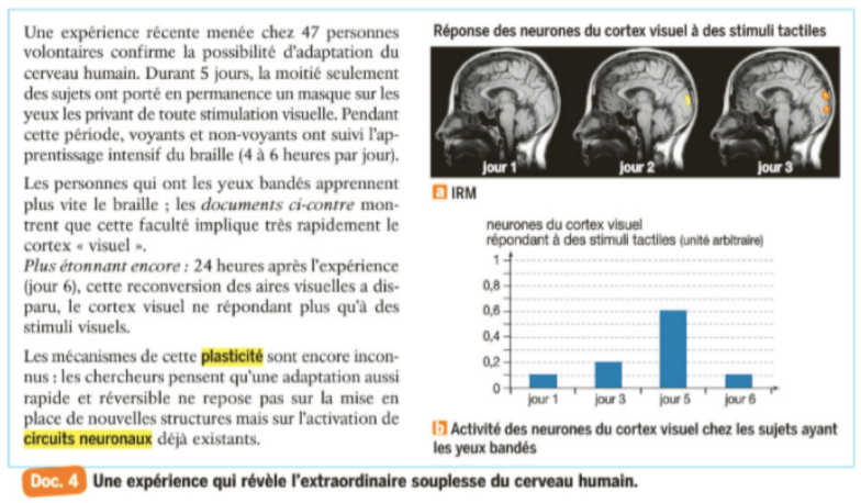Analyse de la déficience sensorielle sur le cerveau